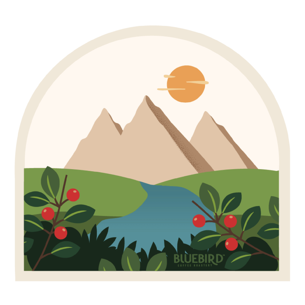 Bluebird Coffee Roastery | Merchandise Shop | Shirts, Caps and more.