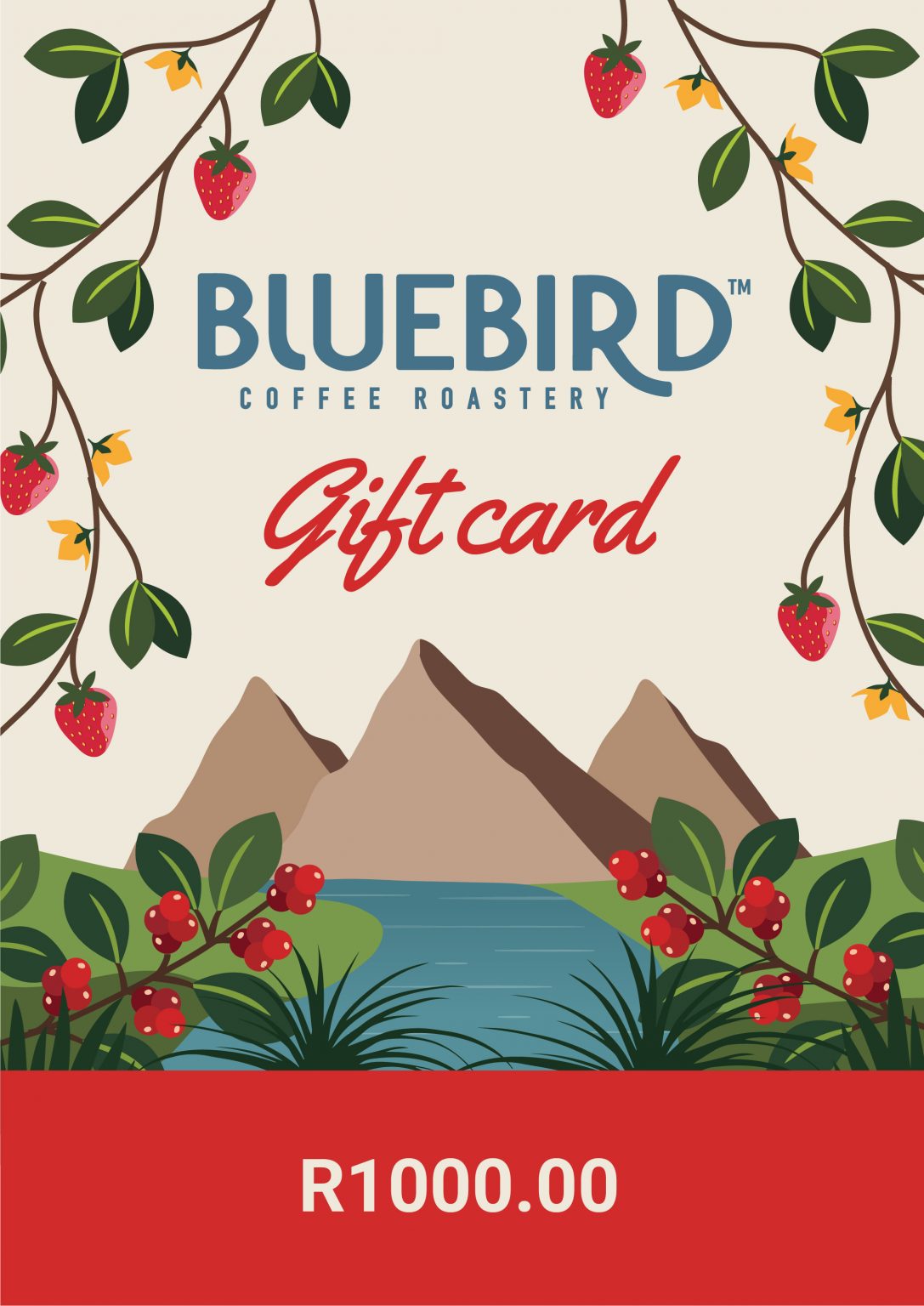 Bluebird Coffee Roastery | Specialty Coffee Roasters | KZN Midlands